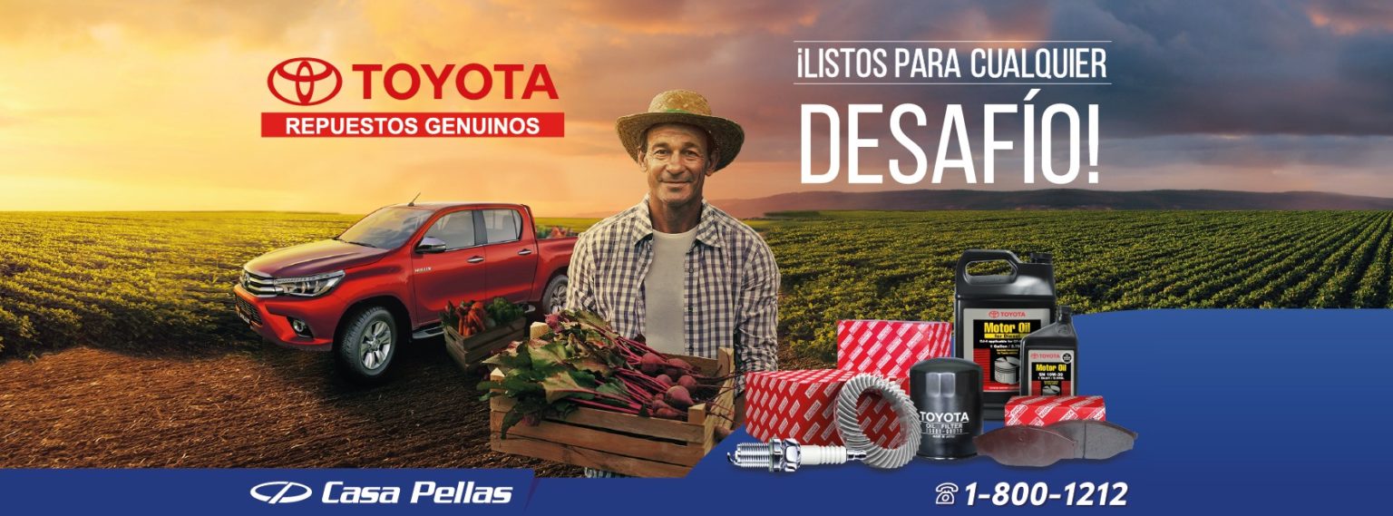 Repuestos Repuestos en Casa Pellas